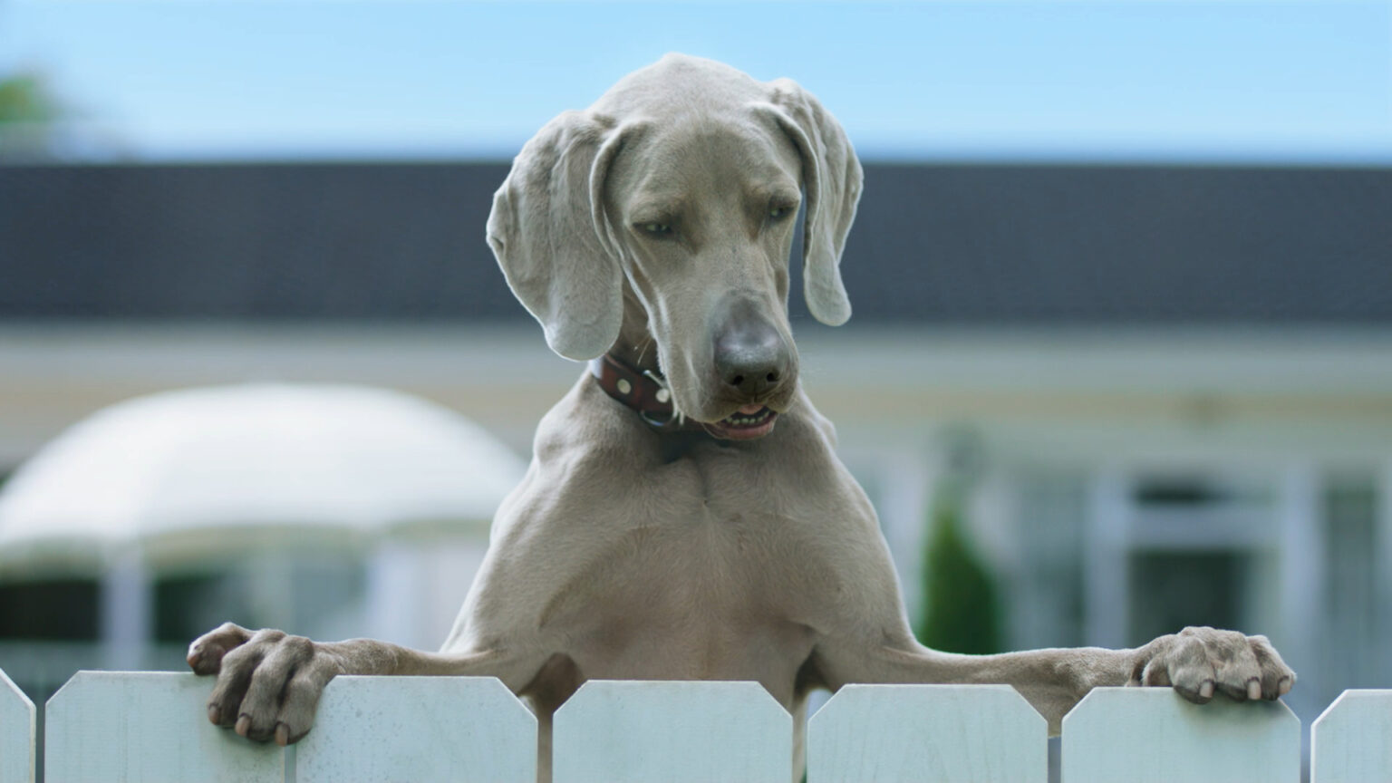 New Flame Capabilities Help Centralize Cloud-Enabled Finishing and VFX ...