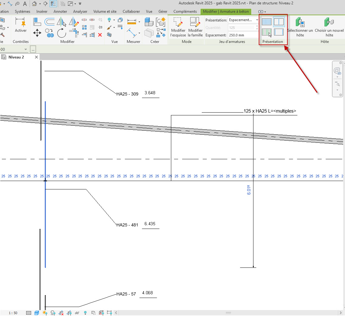 [Nouveauté] Autodesk Revit 2025 – Présentation simplifiée pour un ensemble d’armatures – Village BIM